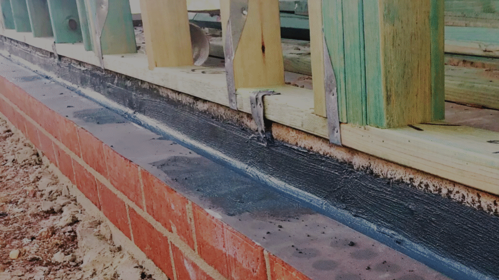 Effective Termite Barriers Service in Perth | Sherlock
